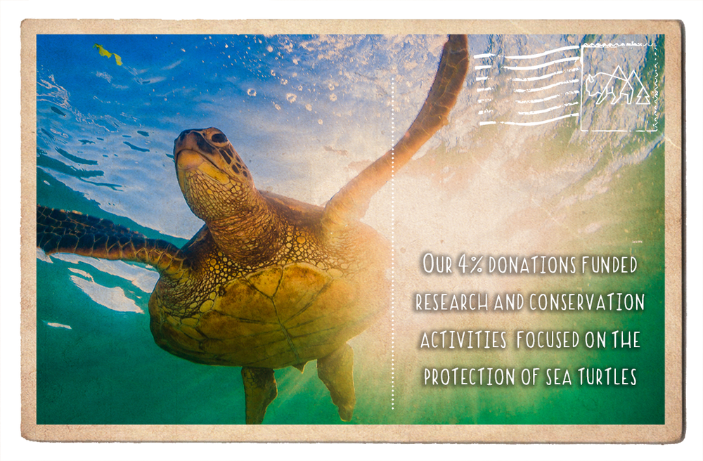 Sea Turtle Conservancy's Sea Turtle Protection Project