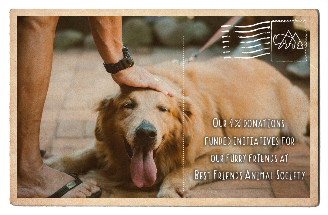 Care Programs at Best Friends Animal Society