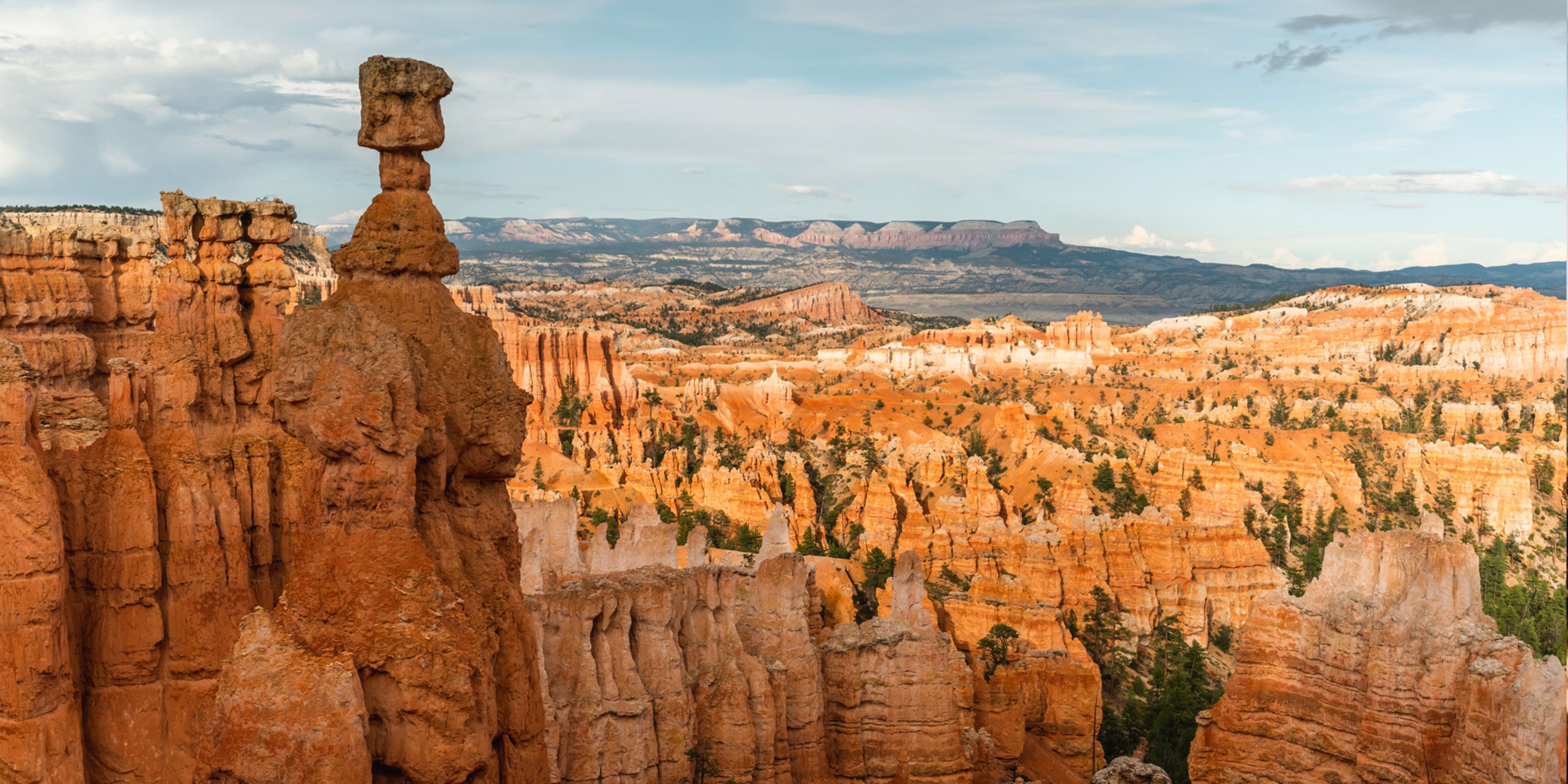 Utah Collection | Utah Shirts & Merch | Wild Tribute